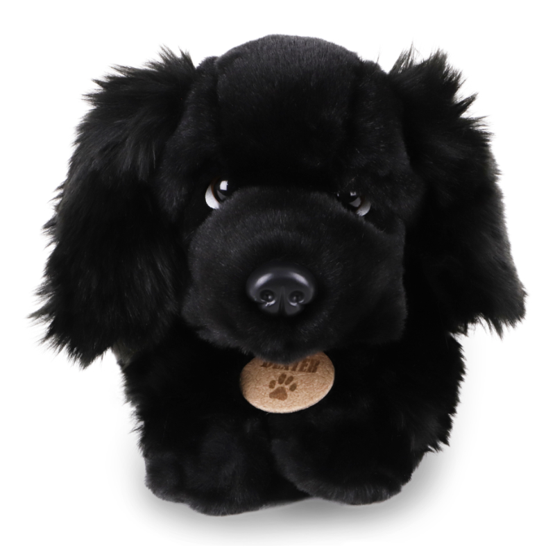 35cm Keel Toys Plush Dog - Childrens Soft Toys - Exclusive to Toyland ...