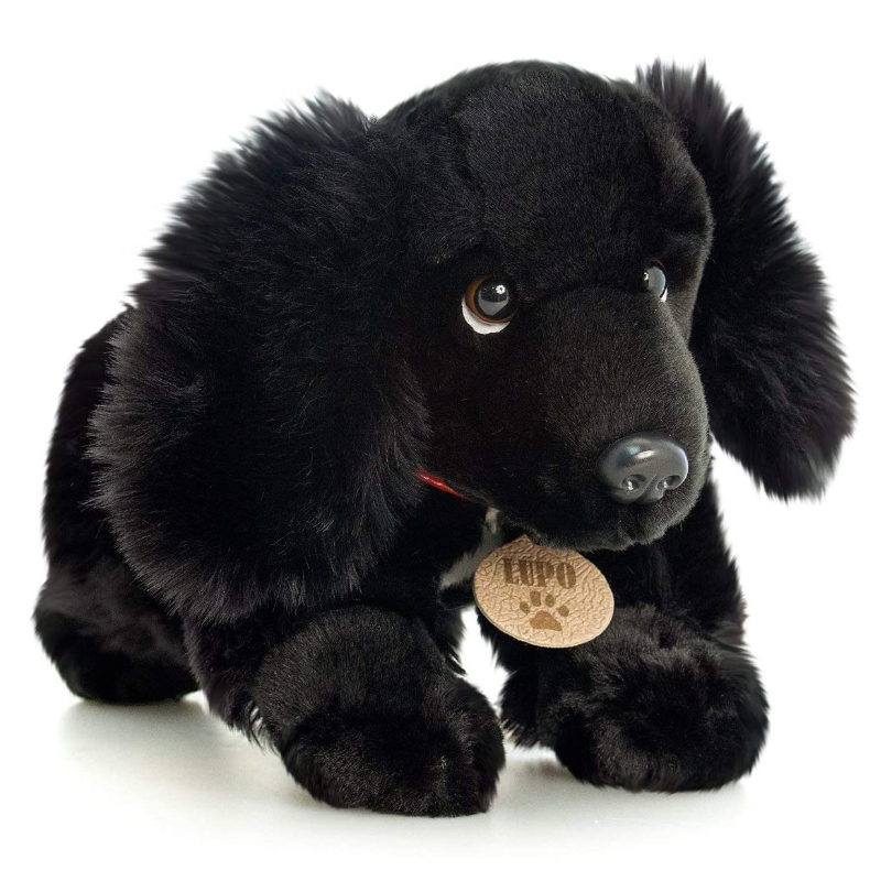 35cm Keel Toys Plush Dog - Childrens Soft Toys - Exclusive to Toyland ...