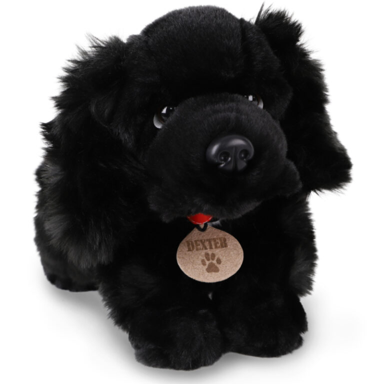 35cm Keel Toys Plush Dog - Childrens Soft Toys - Exclusive to Toyland ...
