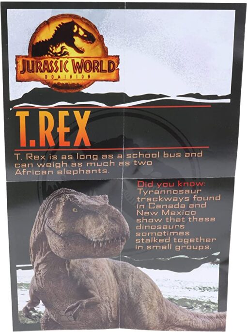 T-Rex Skull Dig Kit - Display Stand Included - Boys Dinosaur Toys ...