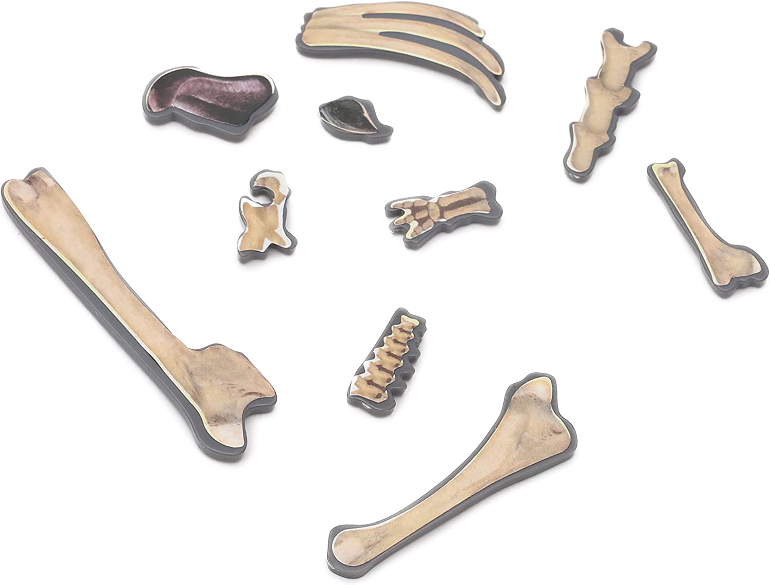 Dinosaur Operation With Buzzer & Shaking Board - Family Games ...